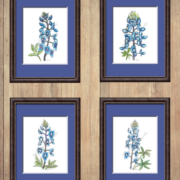 Bluebonnet Art - Etsy