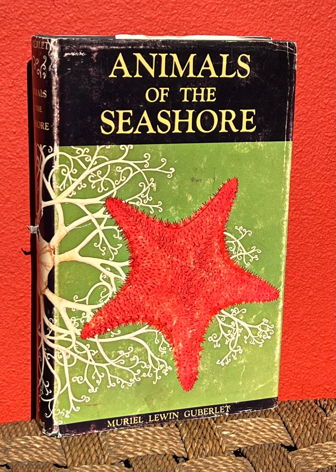Animals of the Seashore Vintage Book Third Edition Revised and Enlarged ...
