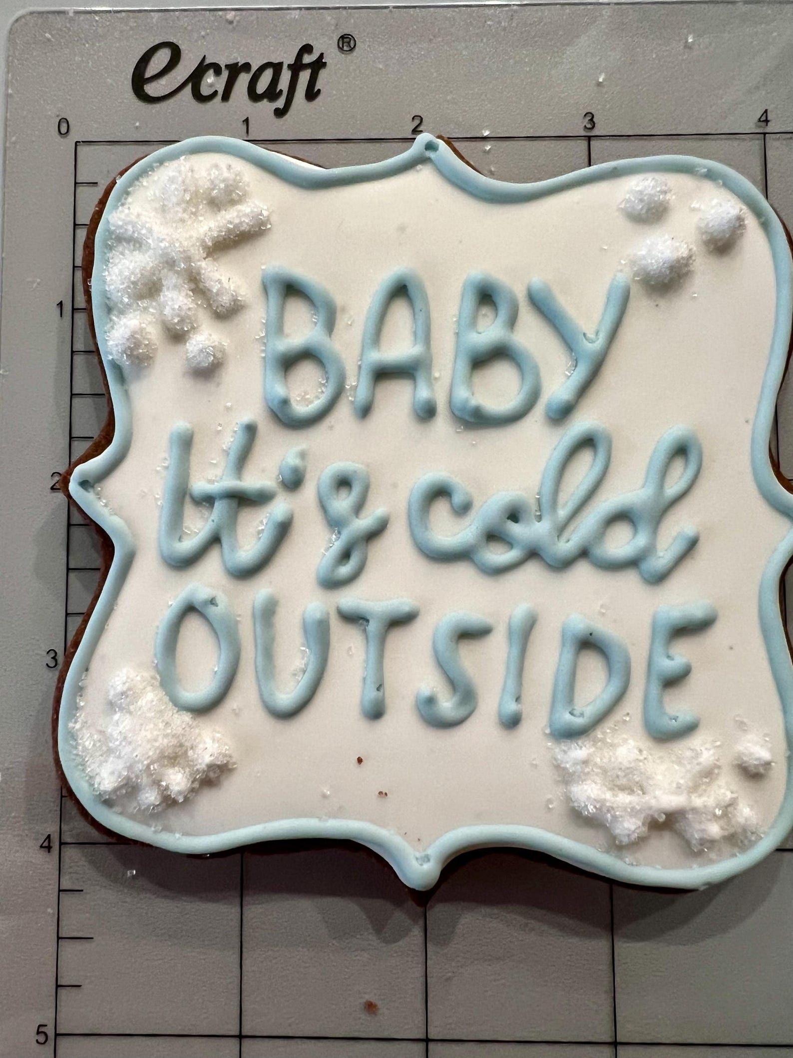 Personalized Winter Arctic Animal Decorated Sugar Cookies (1 Dozen) - Etsy