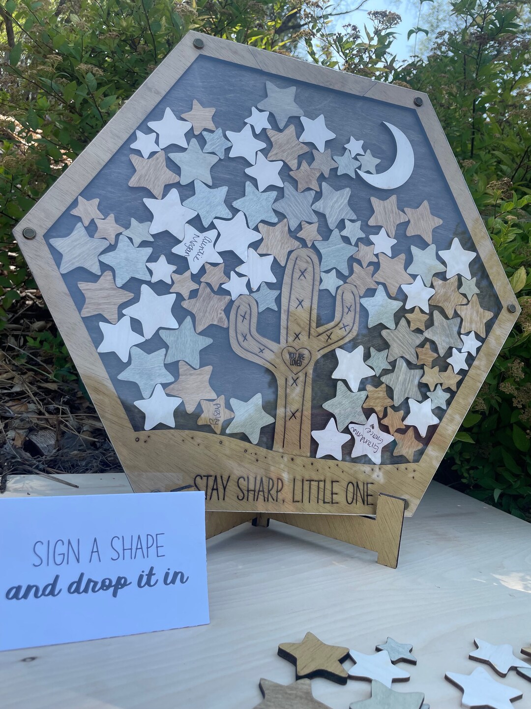 Succulent Theme 3D Dropbox Baby Shower Guestbook Alternative, Desert ...