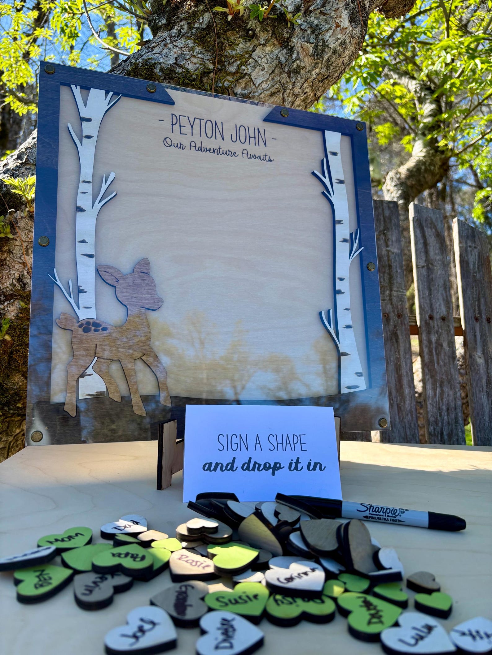 Custom Woodland Theme 3D Signature Frame, Fawn and Birch Trees Baby ...