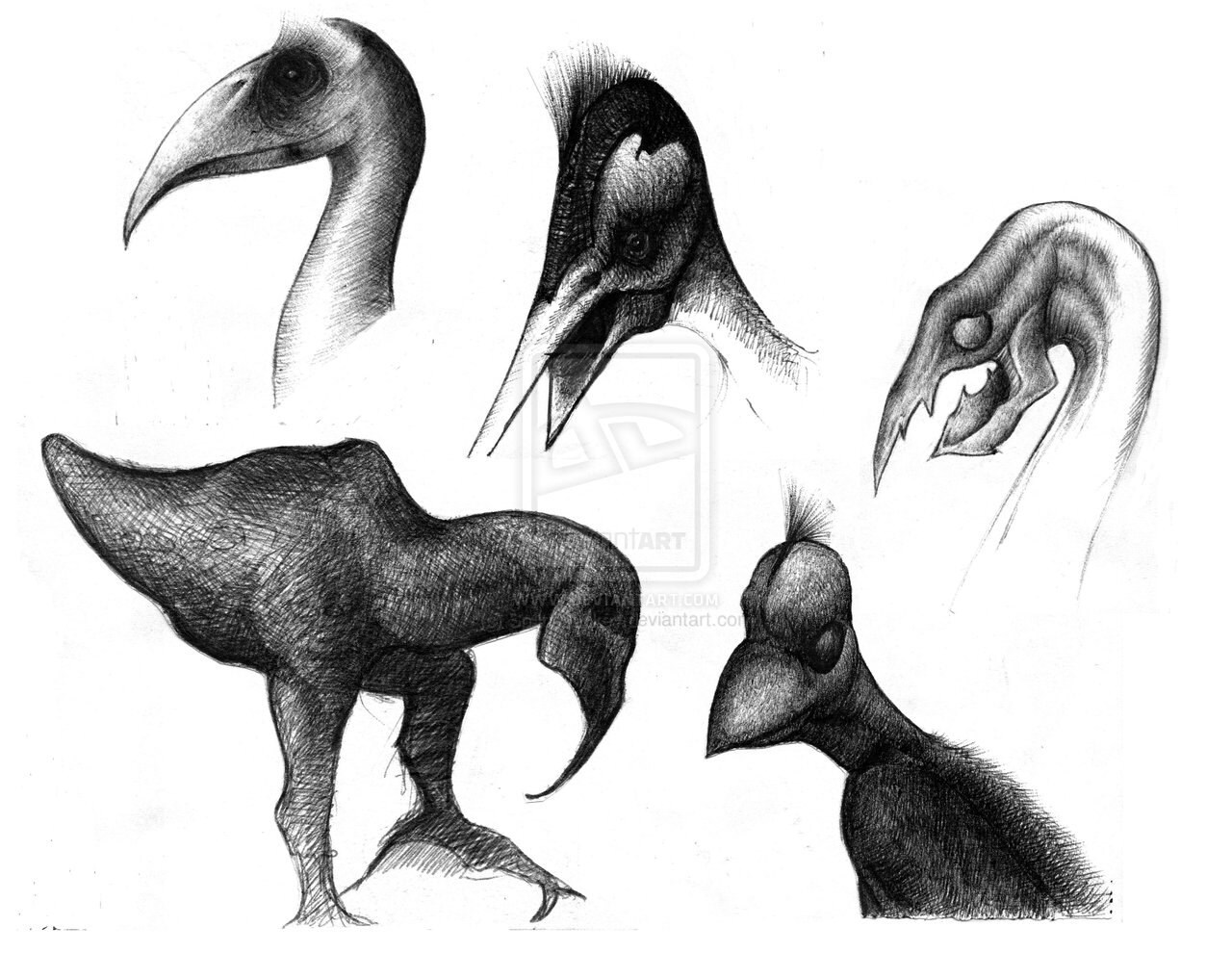 Alien Birds Drawing HQ Signed A4 Print - Etsy