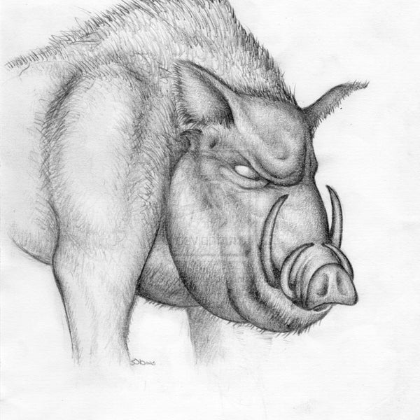 Wild Boar Drawing - Etsy