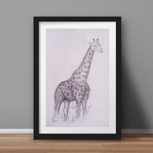 Giraffe Art Pencil Drawing High Quality Signed A4 Print (frame Not ...