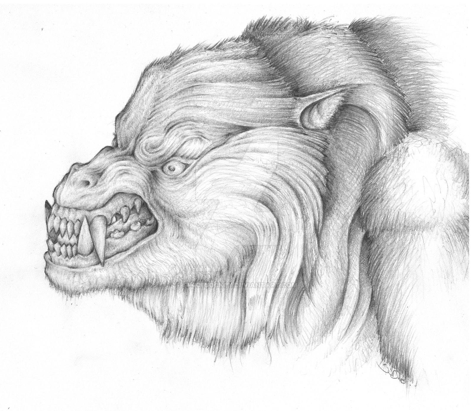 Werewolf Pencil Drawings