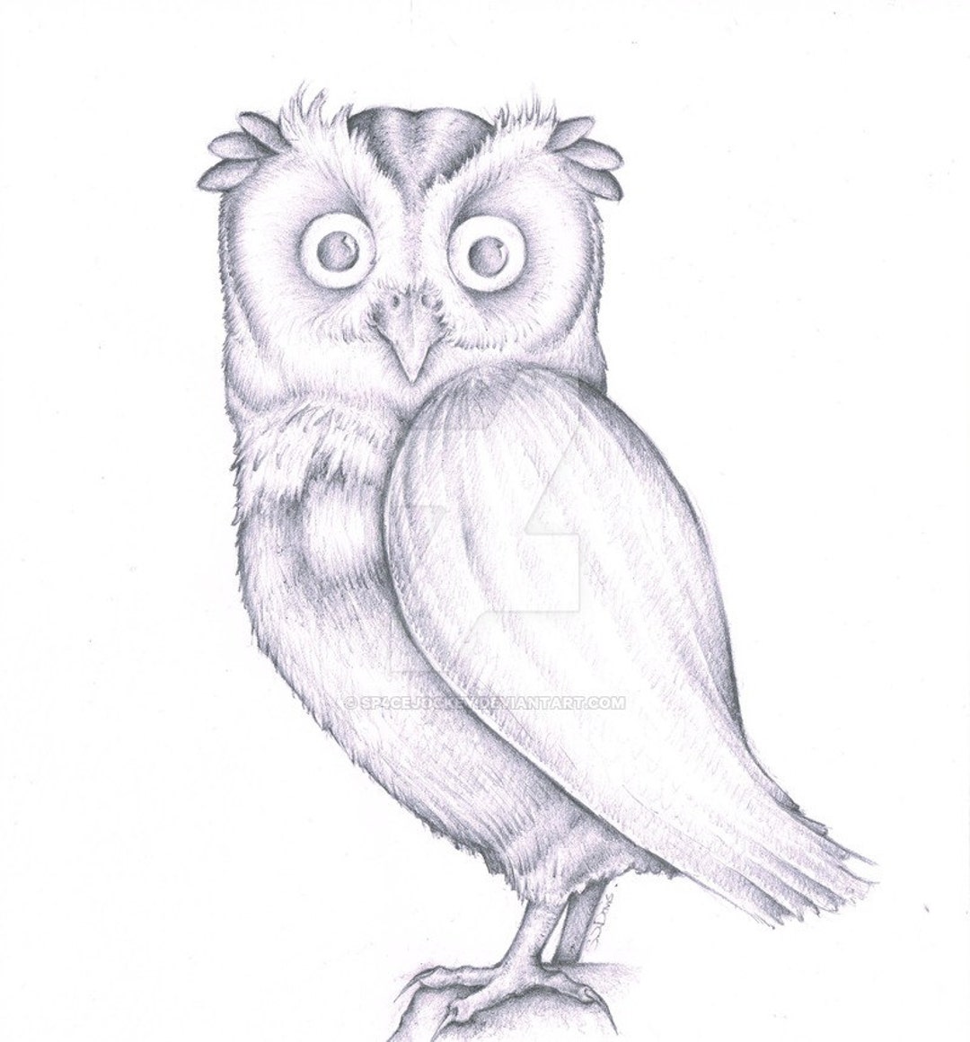 Owl Pencil Drawing Signed HQ A4 Print - Etsy