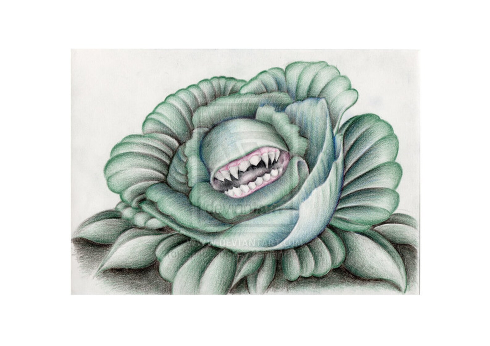 Fantasy Monster Art-Carnivorous Plant Colour Pencil Drawing | Etsy