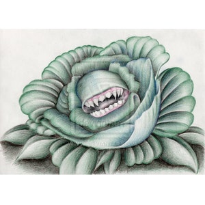 Fantasy Monster Art-carnivorous Plant Colour Pencil Drawing - Etsy