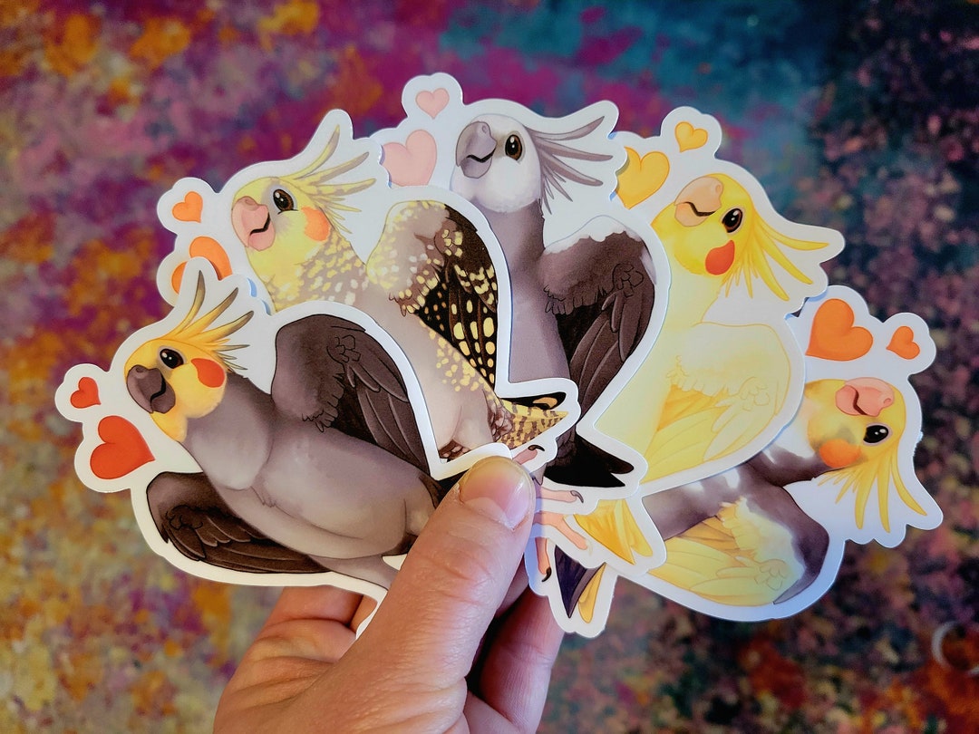 Heartwings Cockatiel Sticker || Weatherproof - Etsy