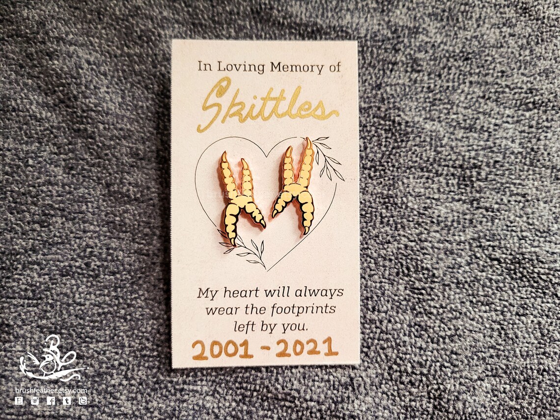 Parrot Talon Mini Pin Set - Etsy