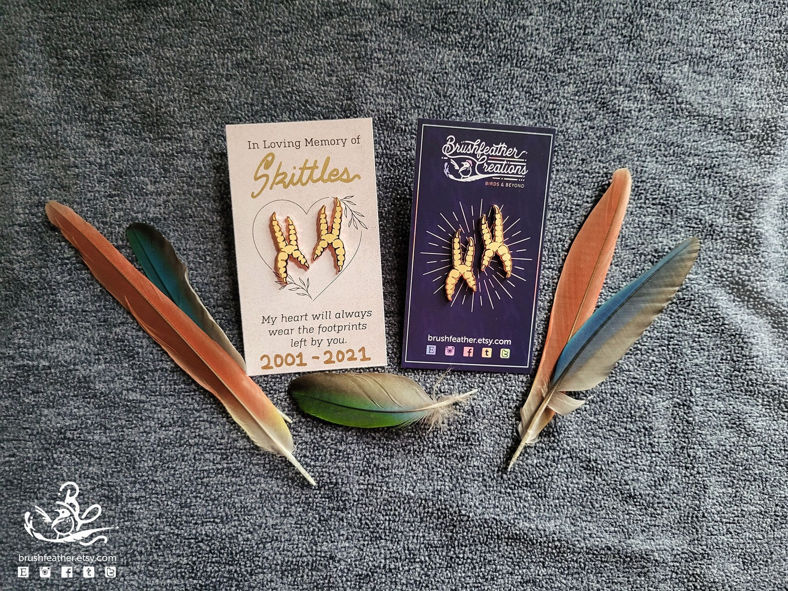 Parrot Talon Mini Pin Set - Etsy