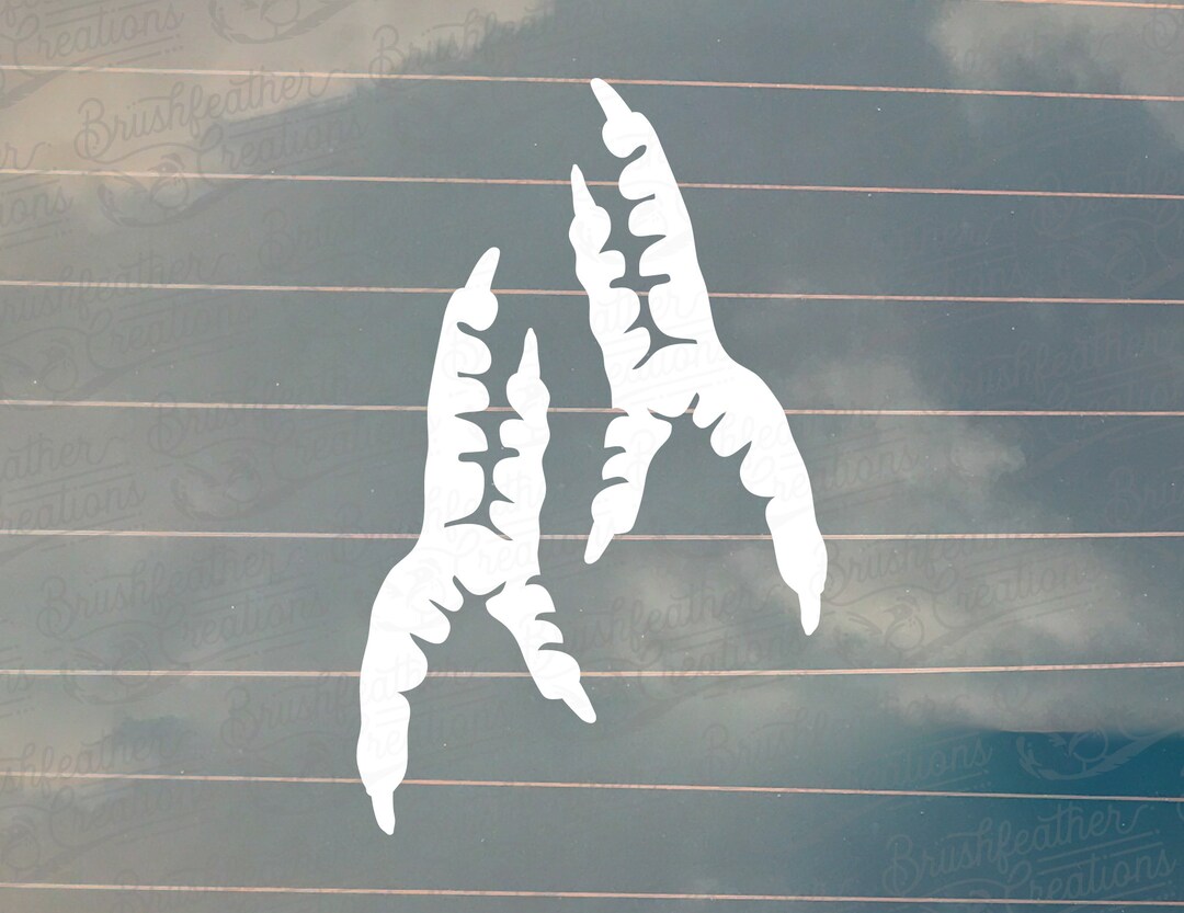 Parrot Talon Prints Vinyl Decal - Etsy