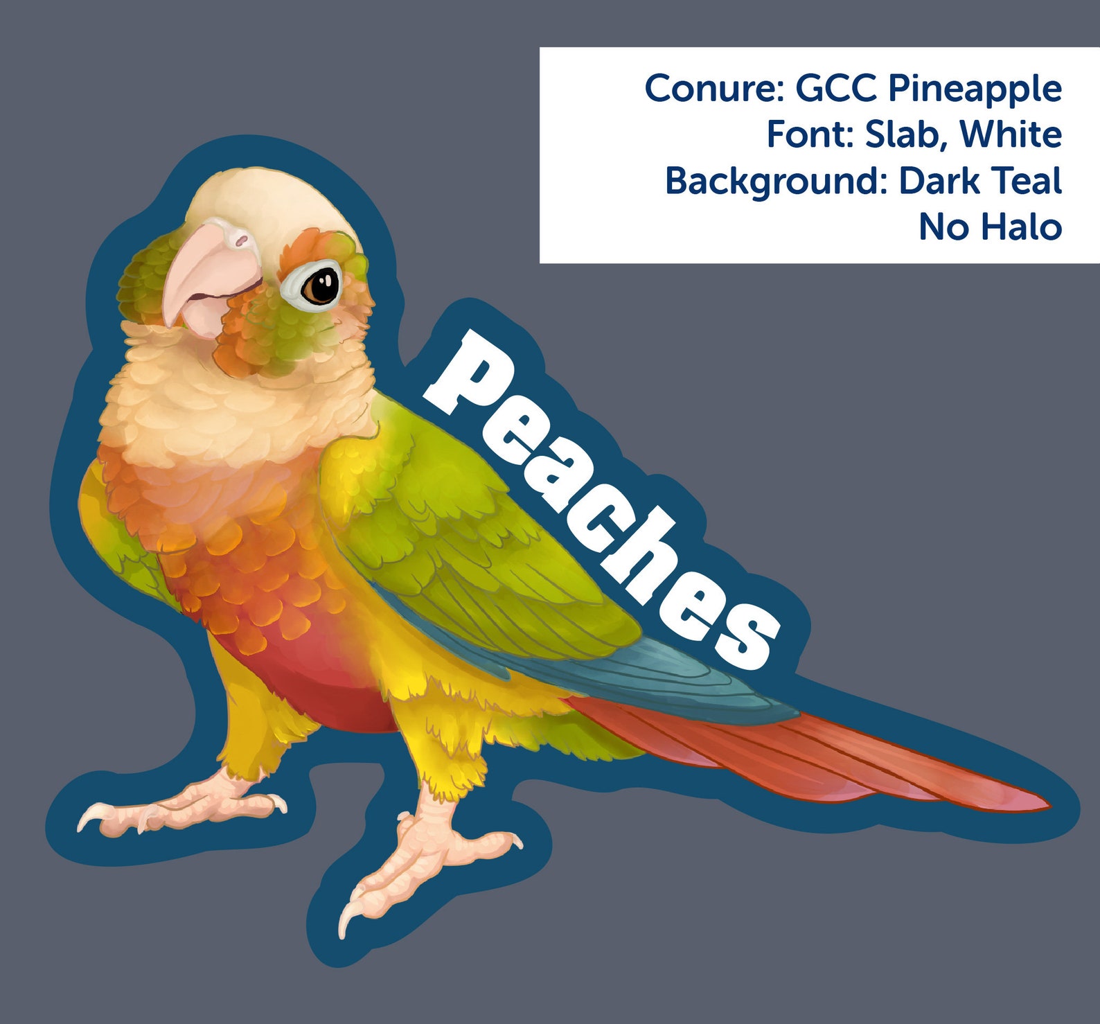 Personalized Conure Angel Sticker Weatherproof - Etsy