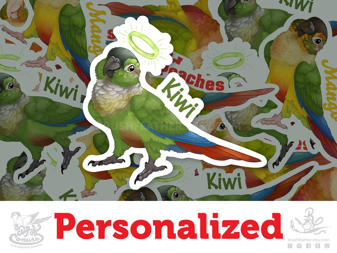 Personalized Conure Angel Sticker || Weatherproof - Etsy