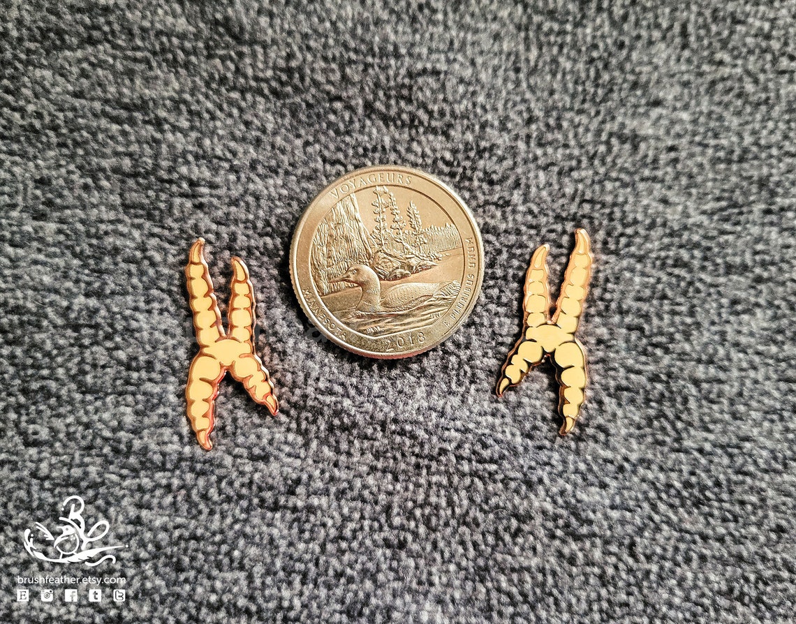 Parrot Talon Mini Pin Set - Etsy