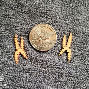 Parrot Talon Mini Pin Set - Etsy