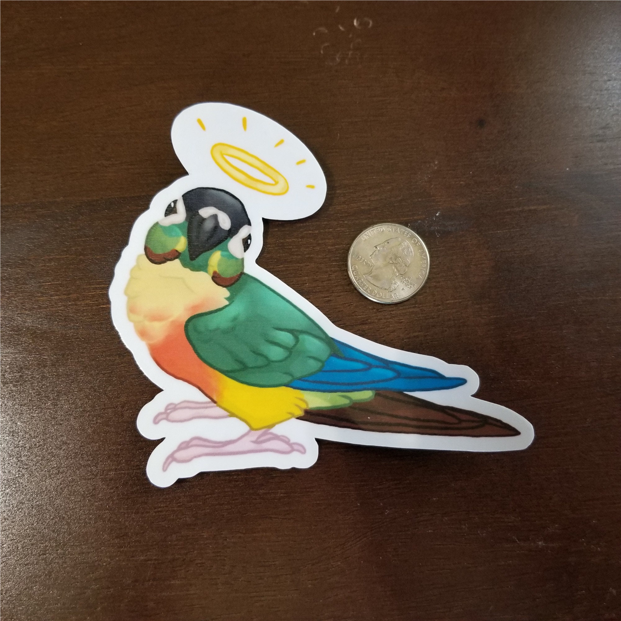 Personalized Conure Angel Sticker Weatherproof - Etsy