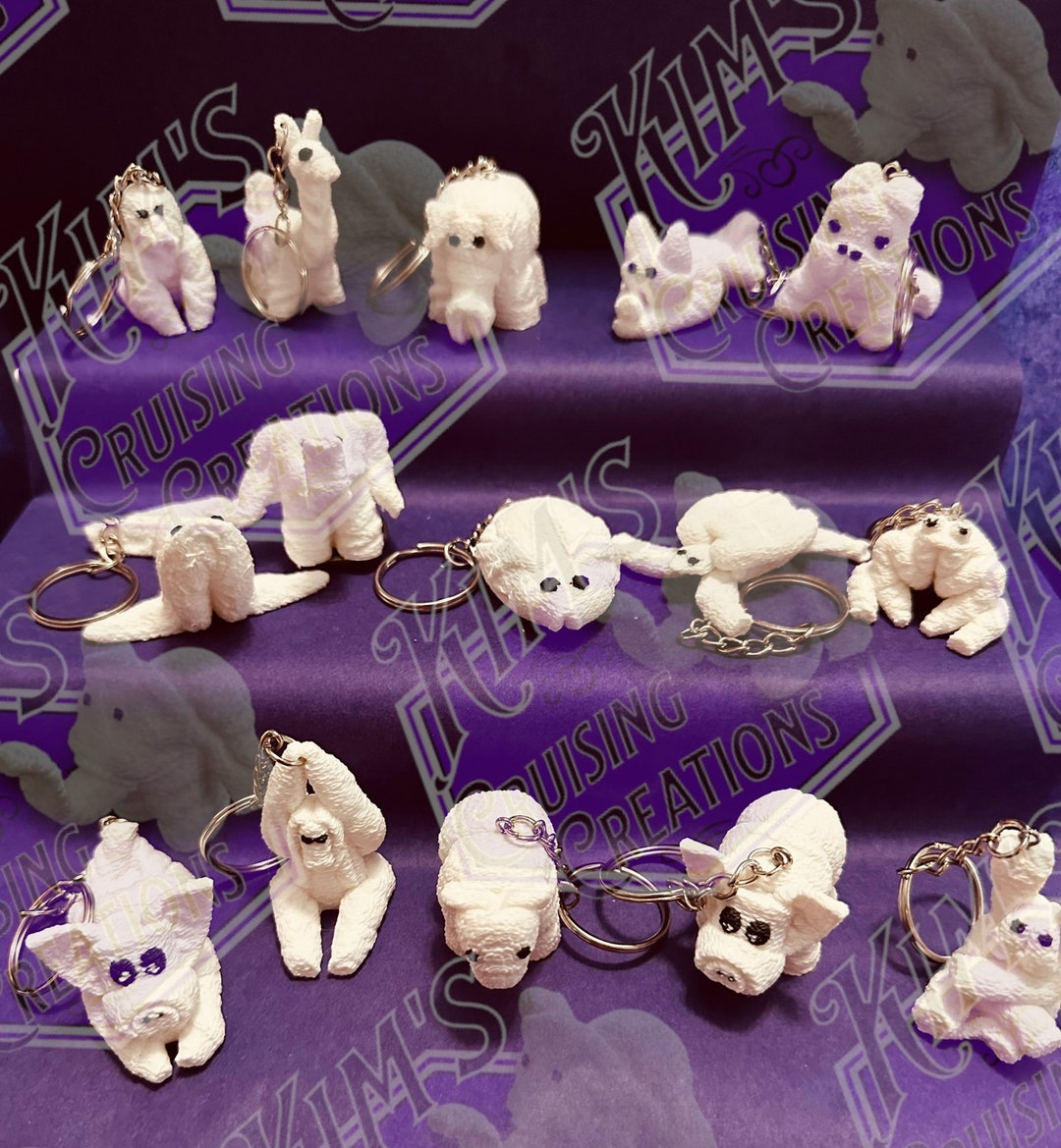 Mixed Bundle With Keychains - Etsy