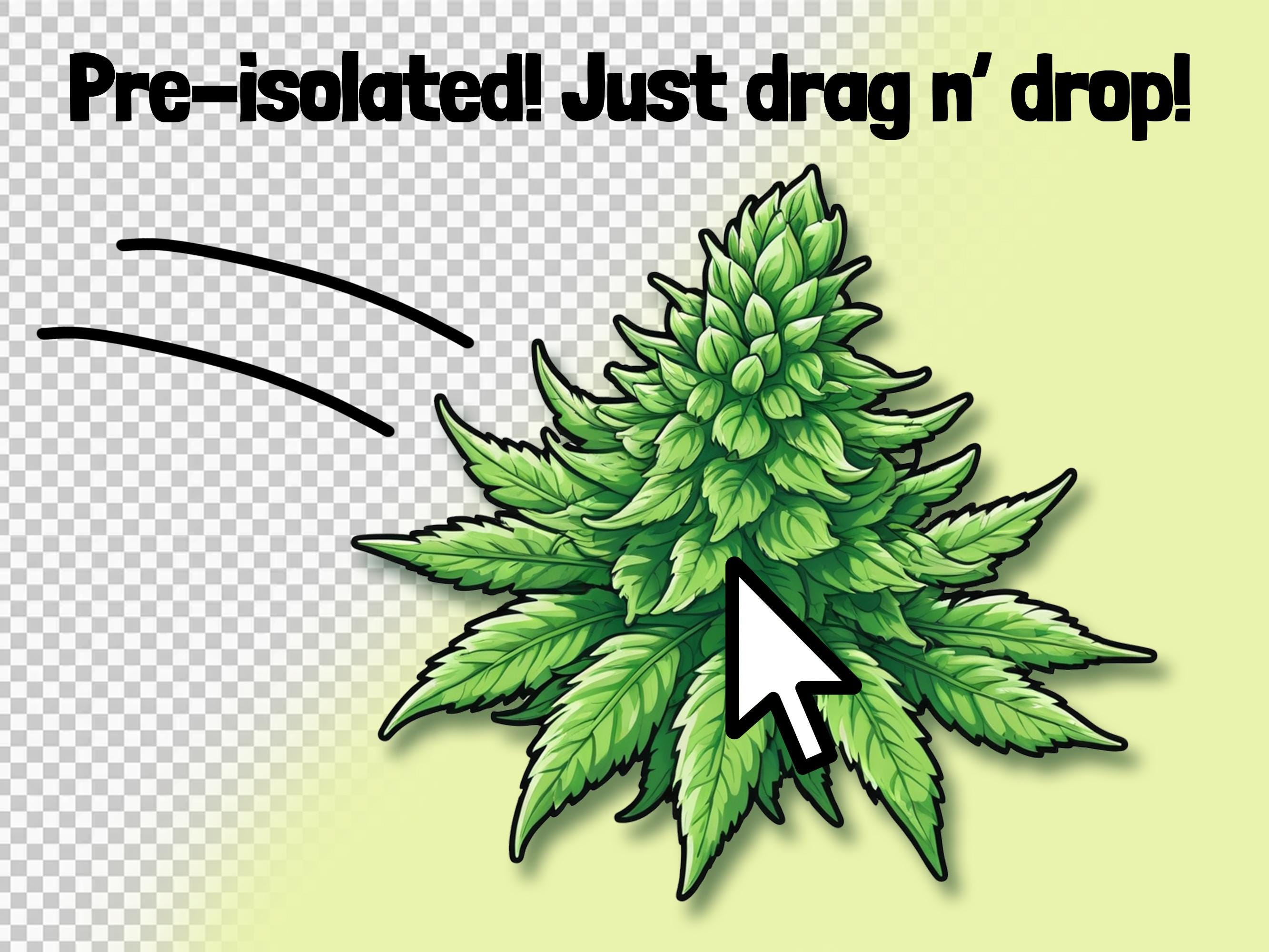 Weed PNG Pack! Weed PNG, Marijuana Png, Weed SVG, Weed Clipart, Weed ...