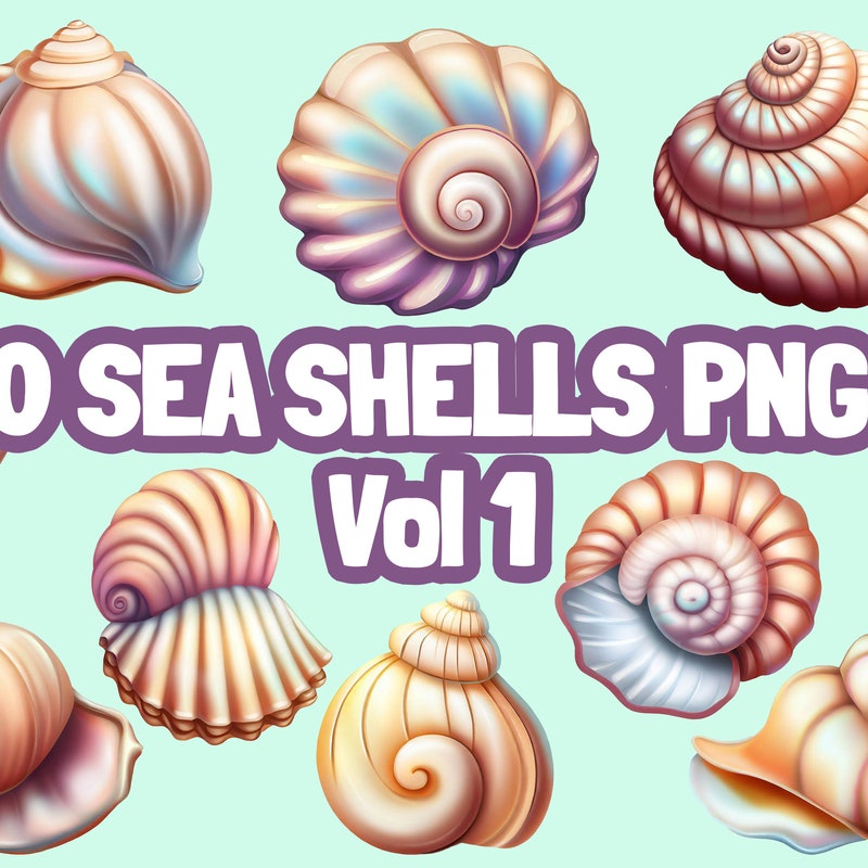Sea Shell Svg - Etsy