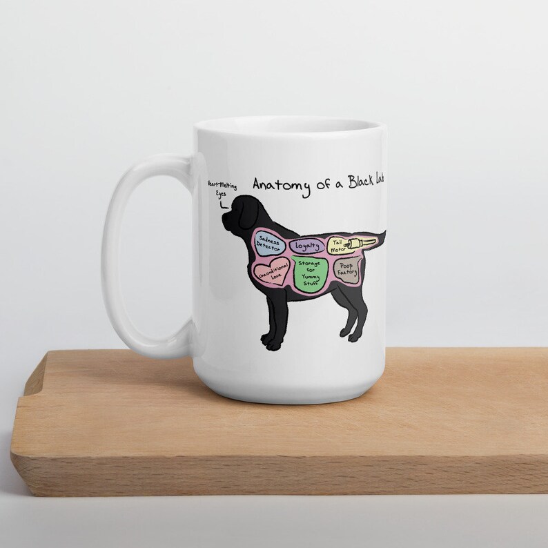Anatomy of a Black Lab Funny Labrador Retriever Mug - Etsy