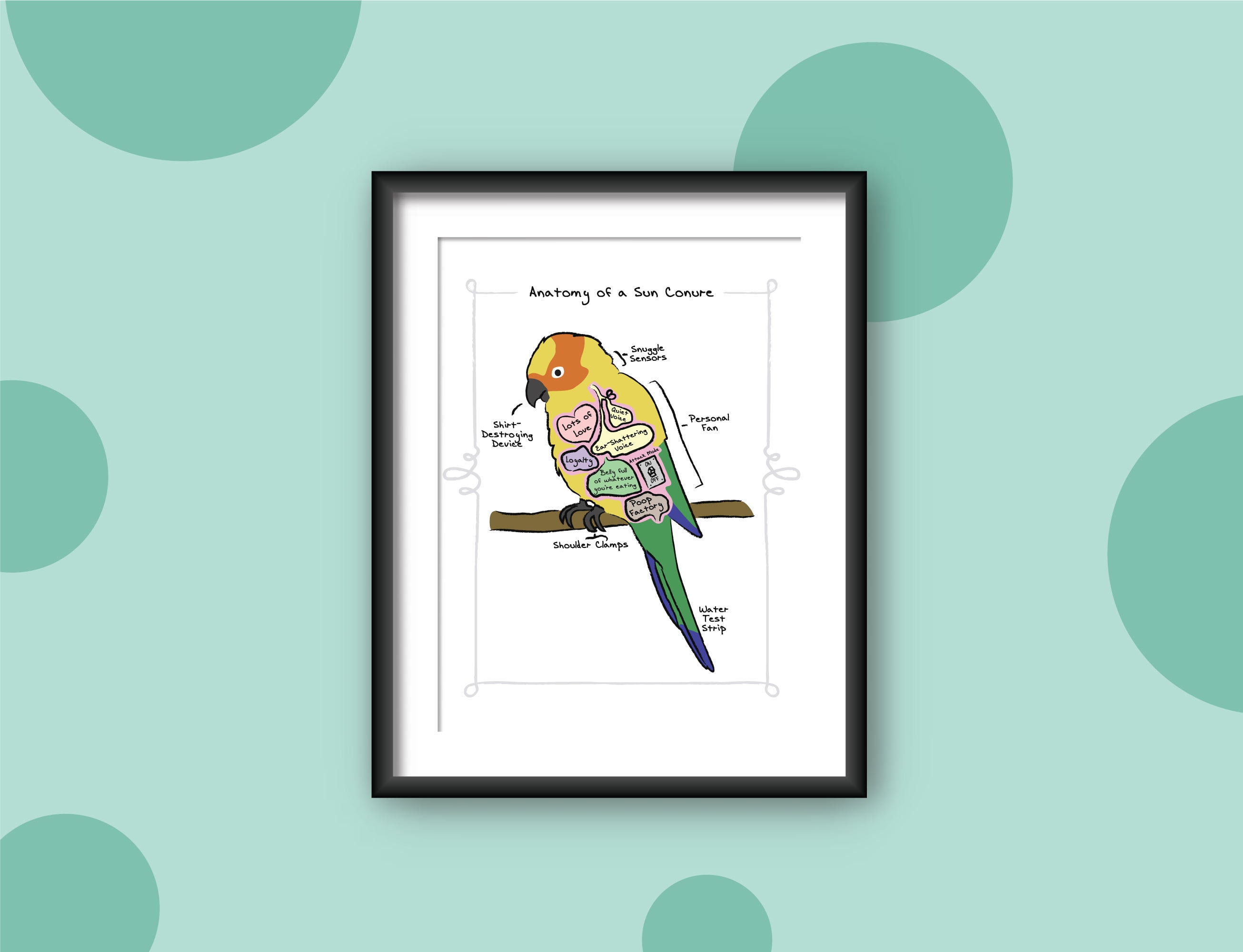 Anatomy of a Sun Conure | Wall Art | Unframed Print - Etsy