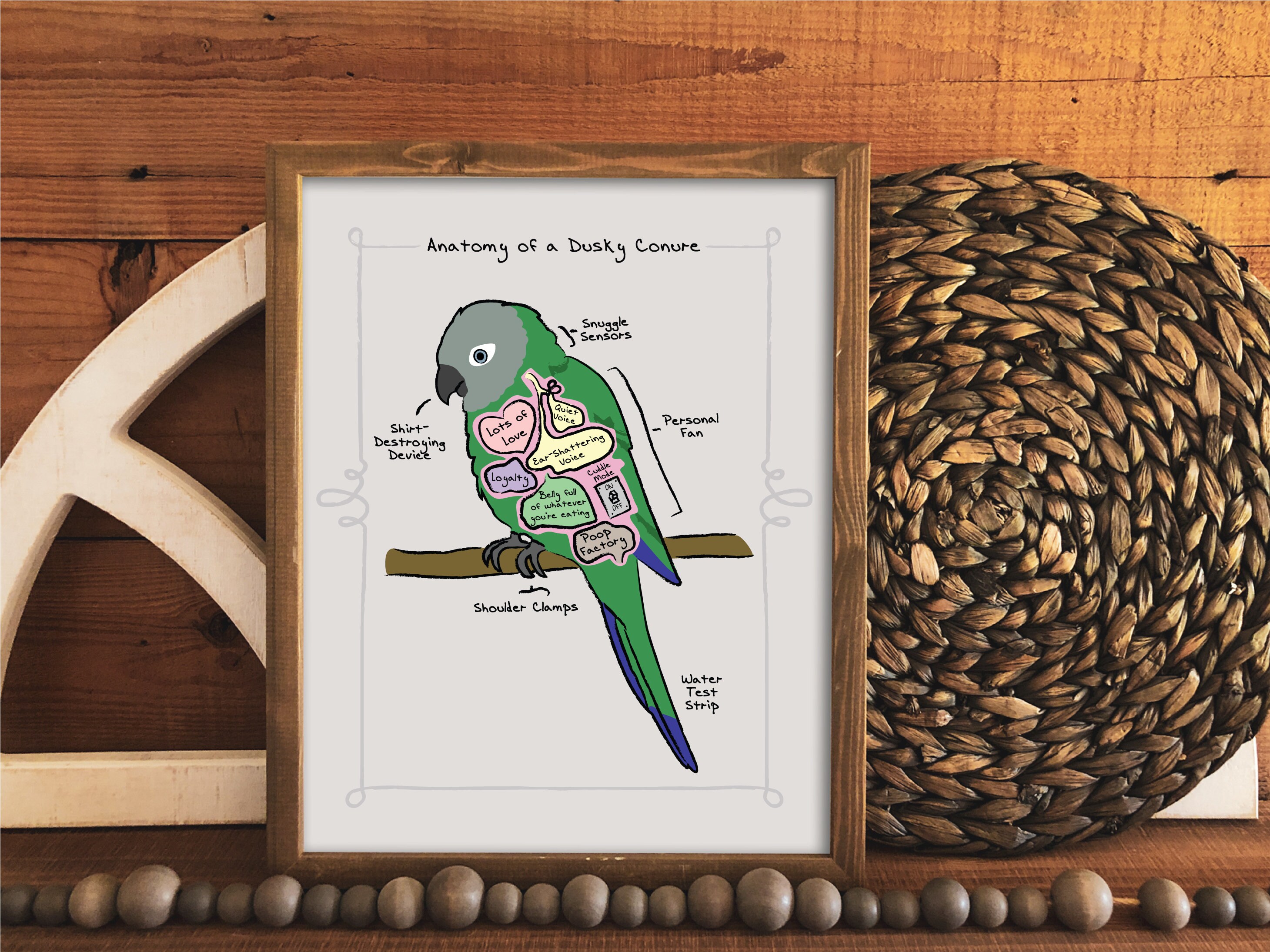 Anatomy of a Dusky Conure Wall Art Unframed Print - Etsy