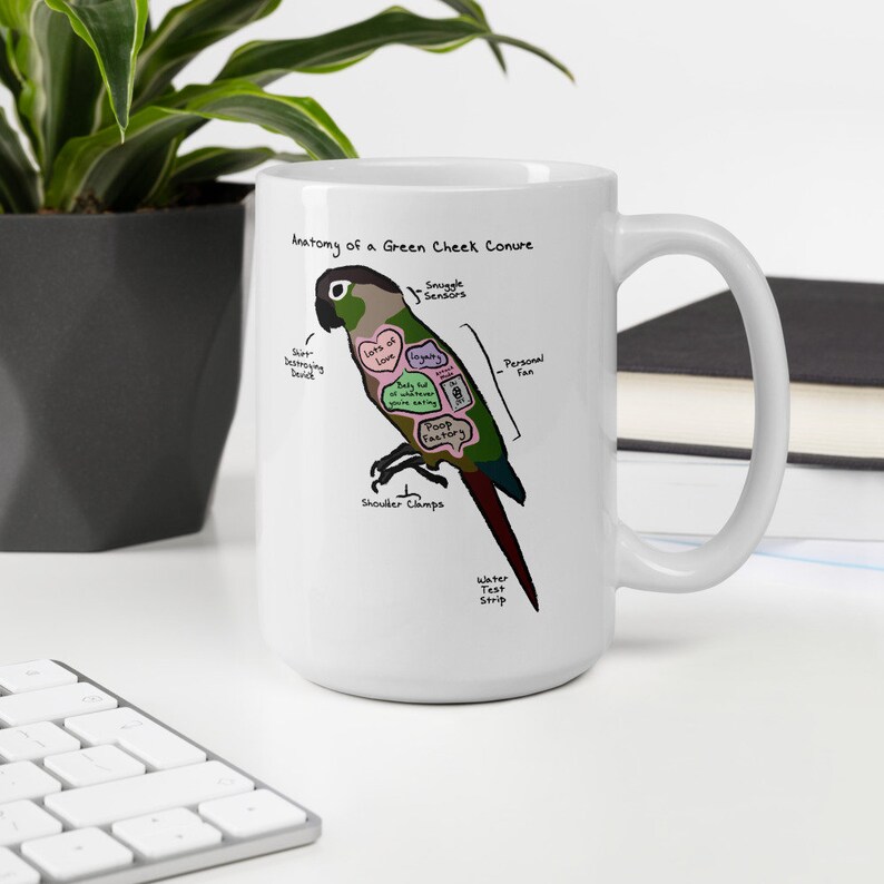 Anatomy of a Green Cheek Conure Funny Green Cheek Conure Mug - Etsy ...
