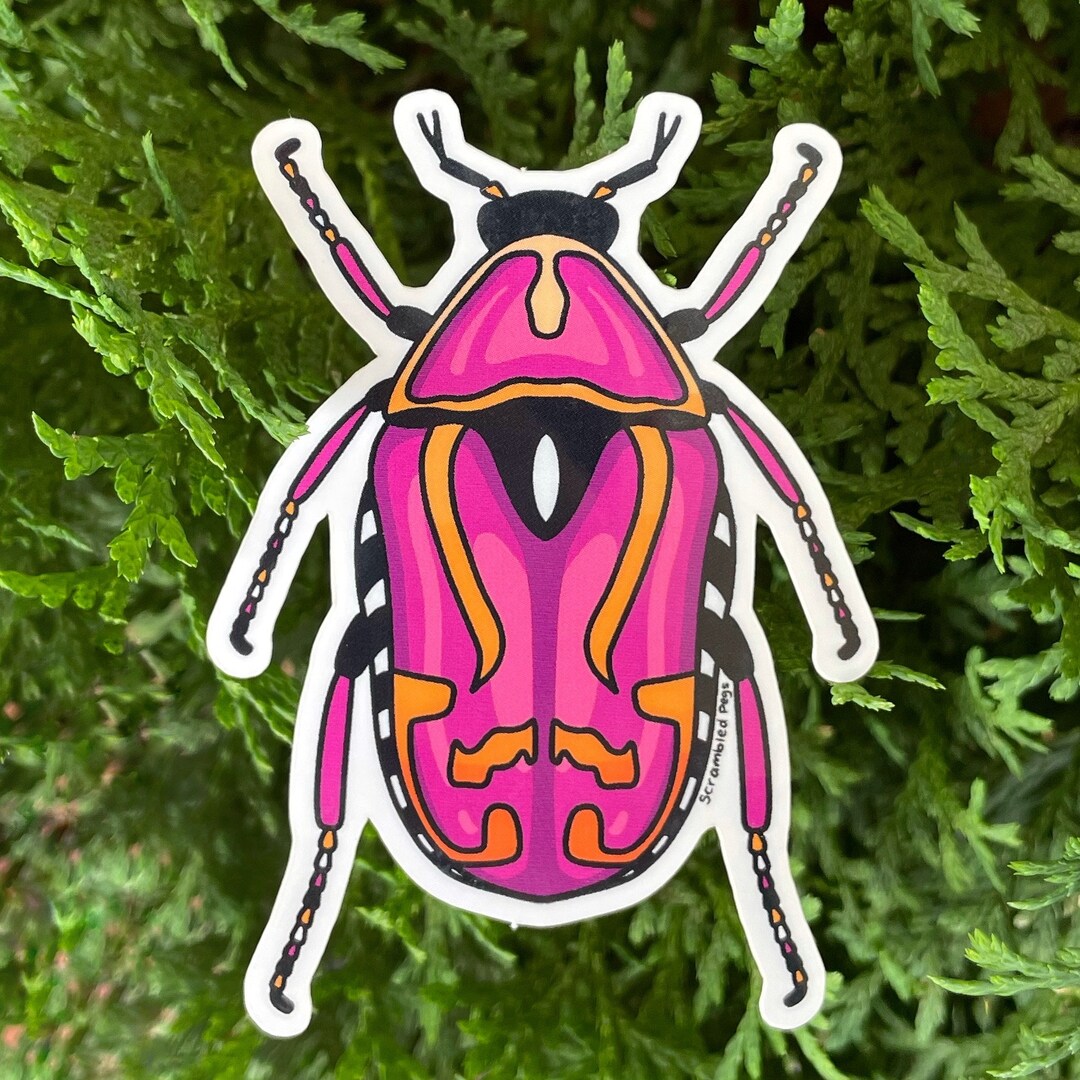 Lesbian Pride Beetle Bug Sticker Waterproof Dishwasher Safe Subtle ...