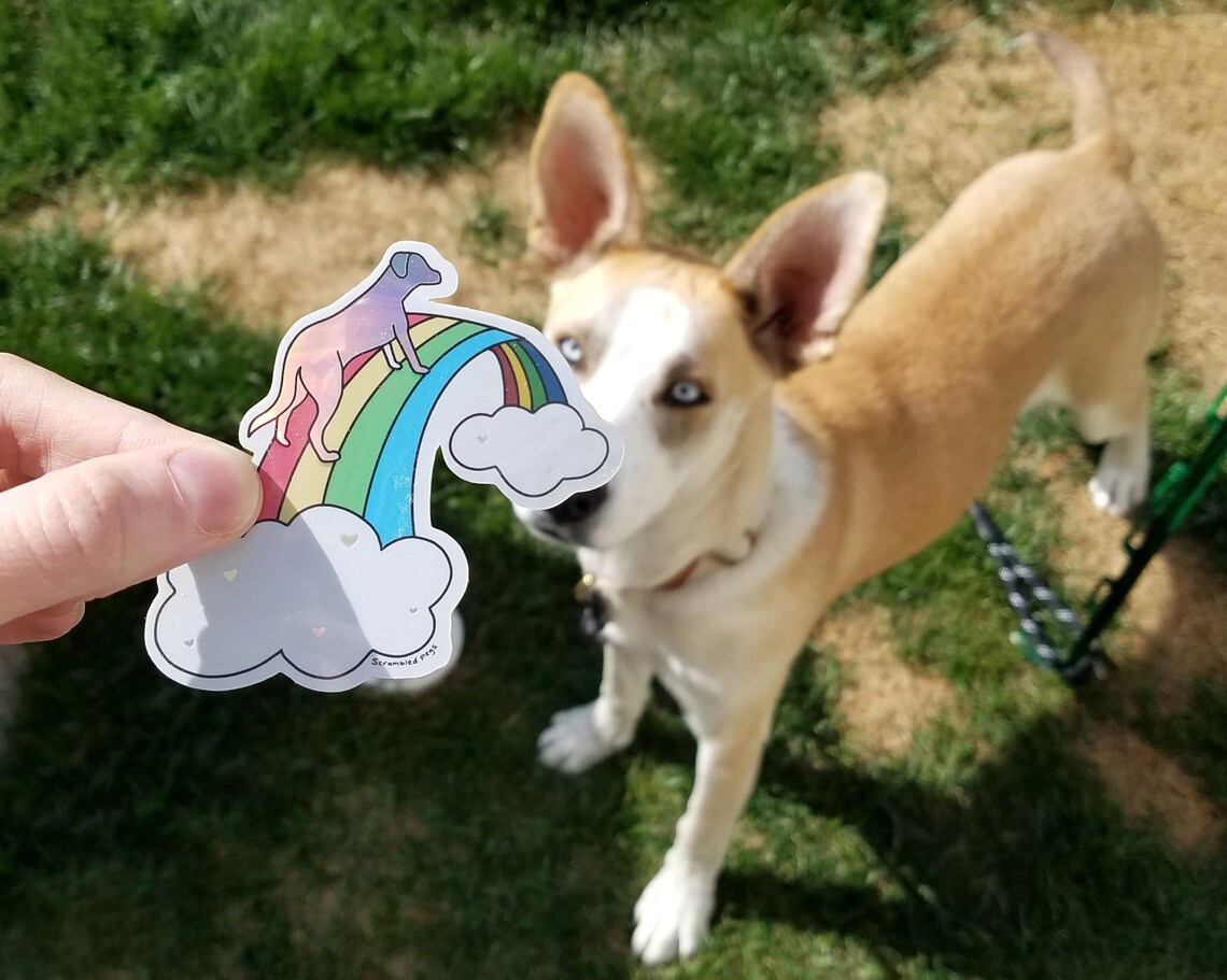 Rainbow Bridge Dog Holographic Waterproof Sticker Pet Loss - Etsy