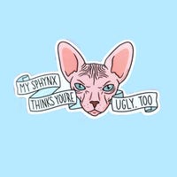 4 Sphynx Cats Bumper Stickers Set - Etsy