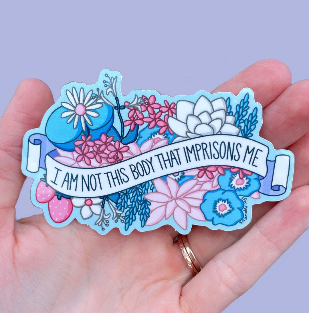 I Am Not This Body That Imprisons Me Mountain Goats Lyric Vinyl Sticker ...
