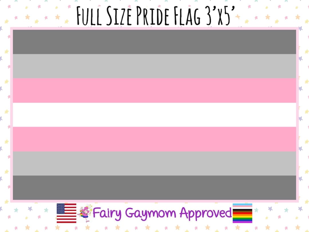 LGBTQA Demigirl Pride Flag - Etsy