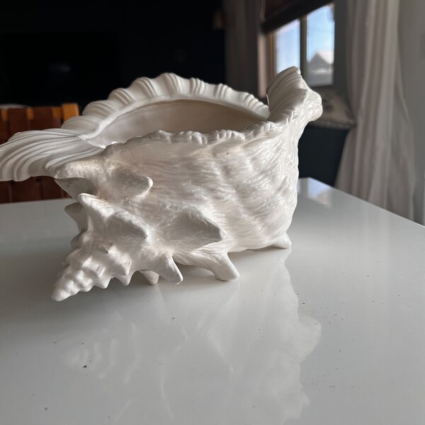 Conch Shell Planter - Etsy