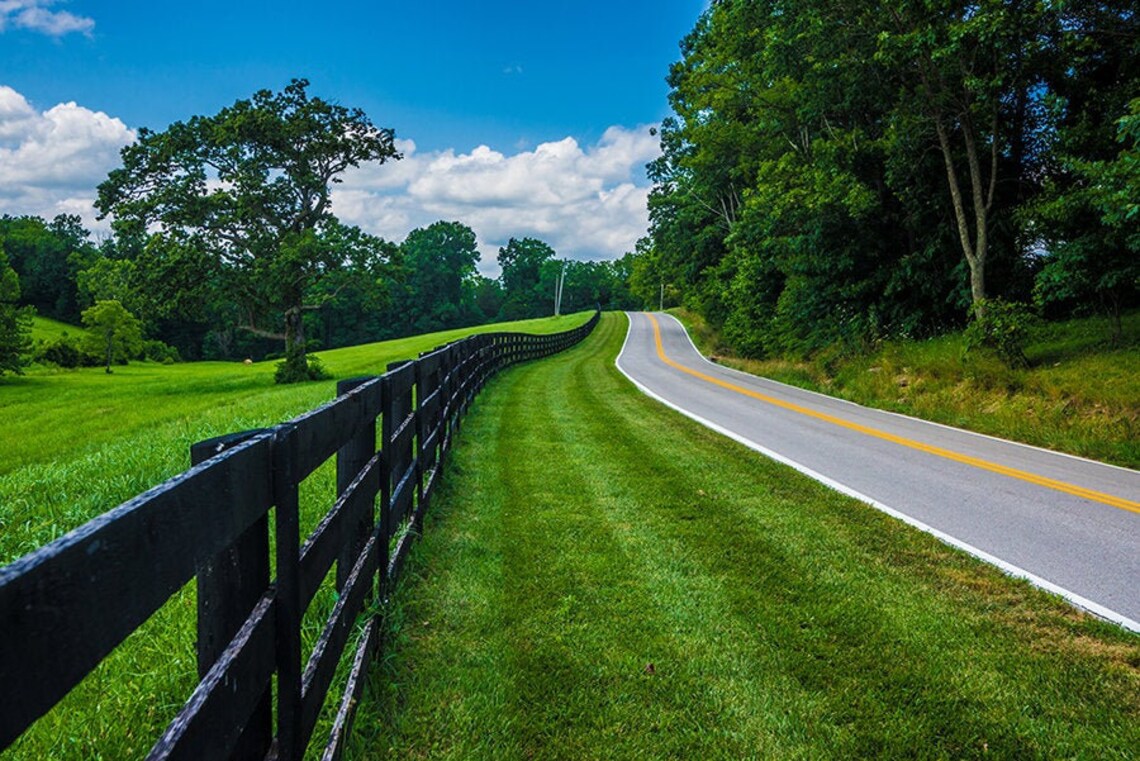 Kentucky Bluegrass, Horse Country, Old Frankfort Pike, Lexington ...