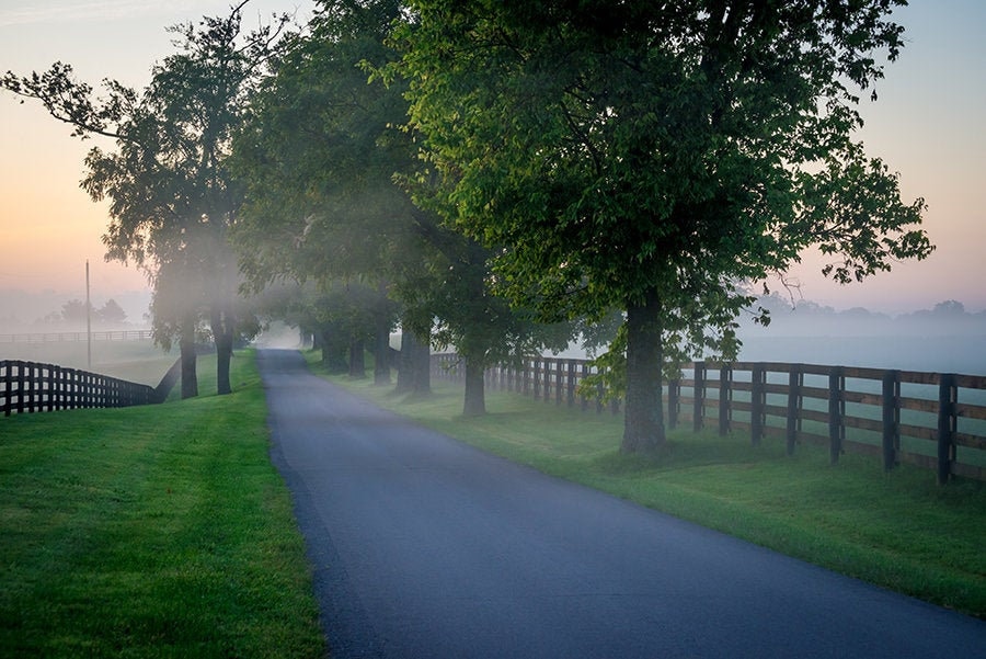 Sunrise Morning Fog Kentucky Bluegrass Horse Country Green | Etsy