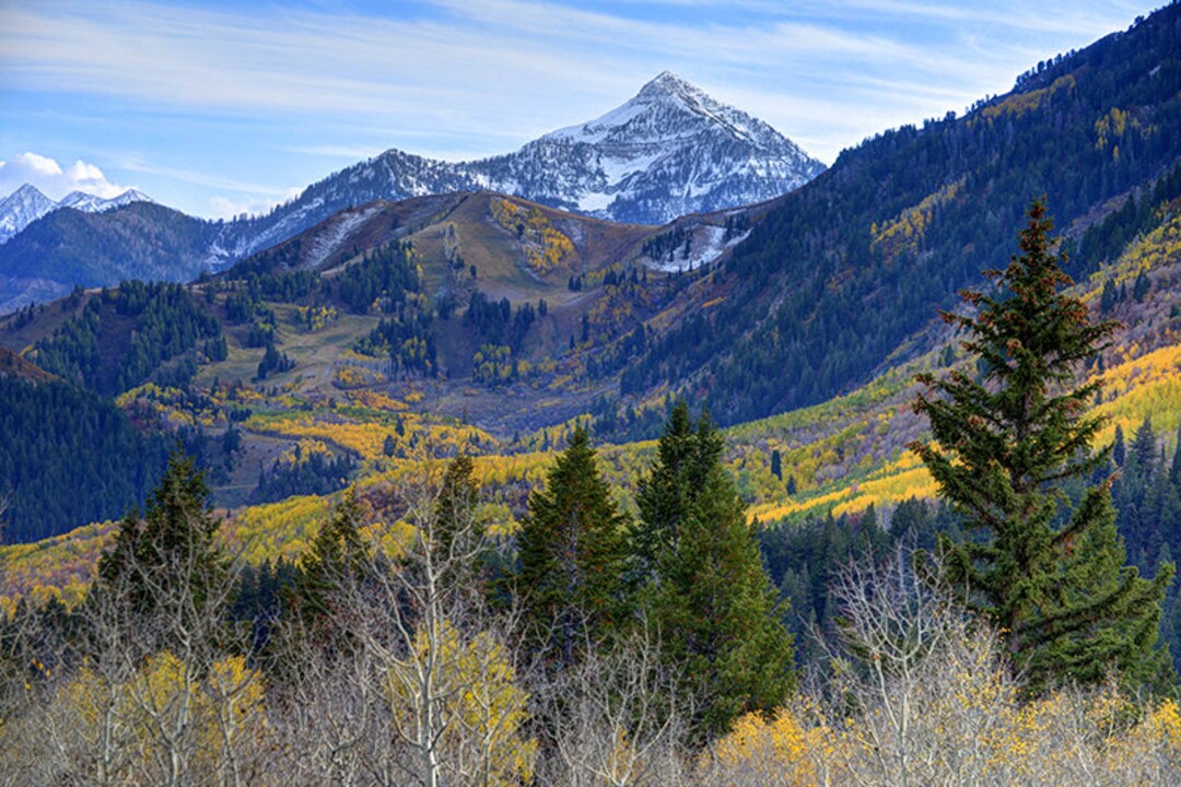 Fall Color, Cascade Mountain, Wasatch Range, Sundance, Utah Landscape ...