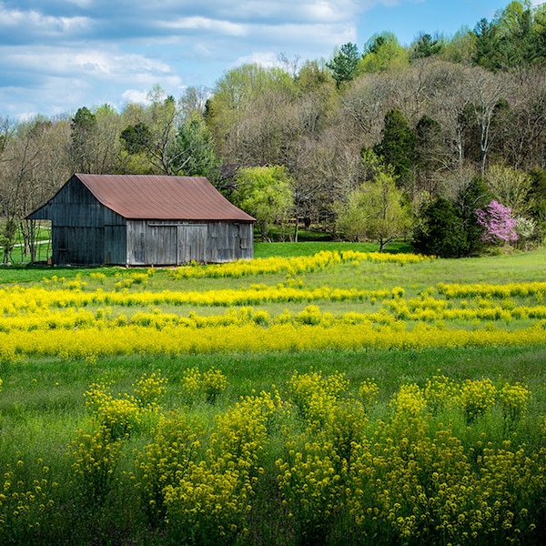 Midwest Landscape - Etsy