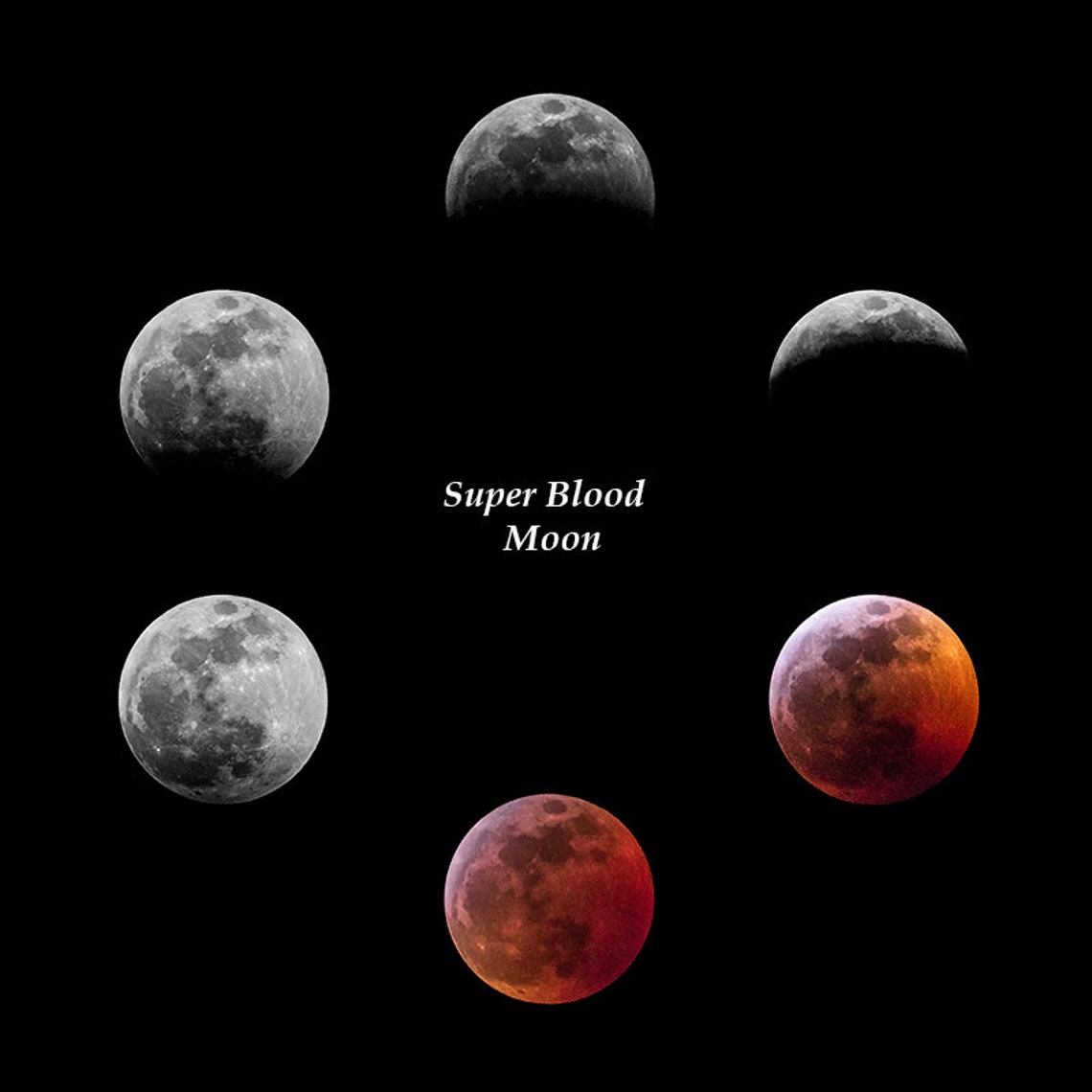 Super Blood Wolf Moon Lunar Eclipse Photo Series - Square, Horizontal ...