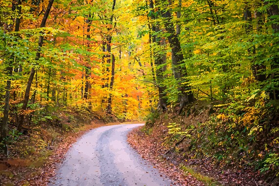 Fall Country Road
