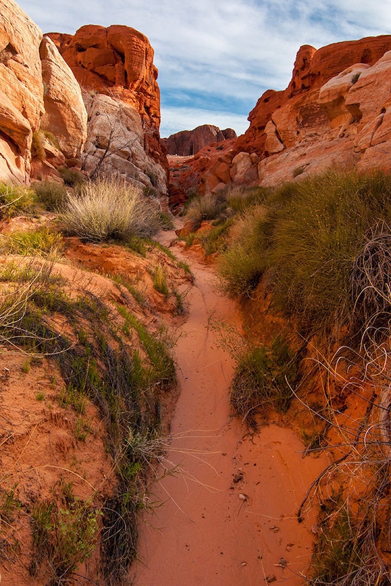 Colorful Sandstone Ravine Valley of Fire Las Vegas Nevada | Etsy