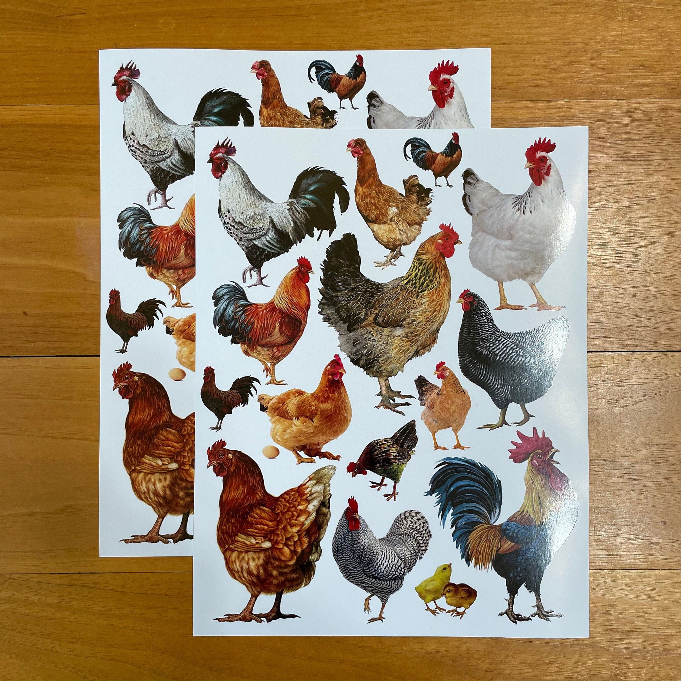 Vintage Chicken Collage Clip Art Sheet: Printable Chicken Images (PDF ...
