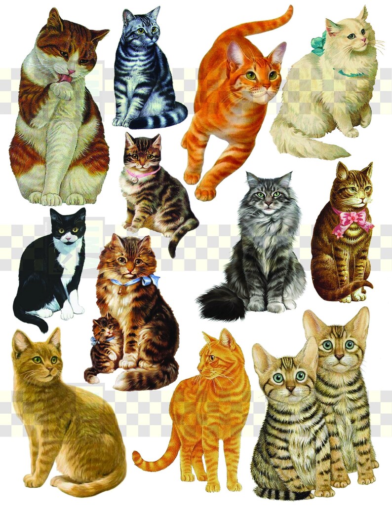 Vintage Cat Collage Clip Art Sheet INSTANT DOWNLOAD for All - Etsy