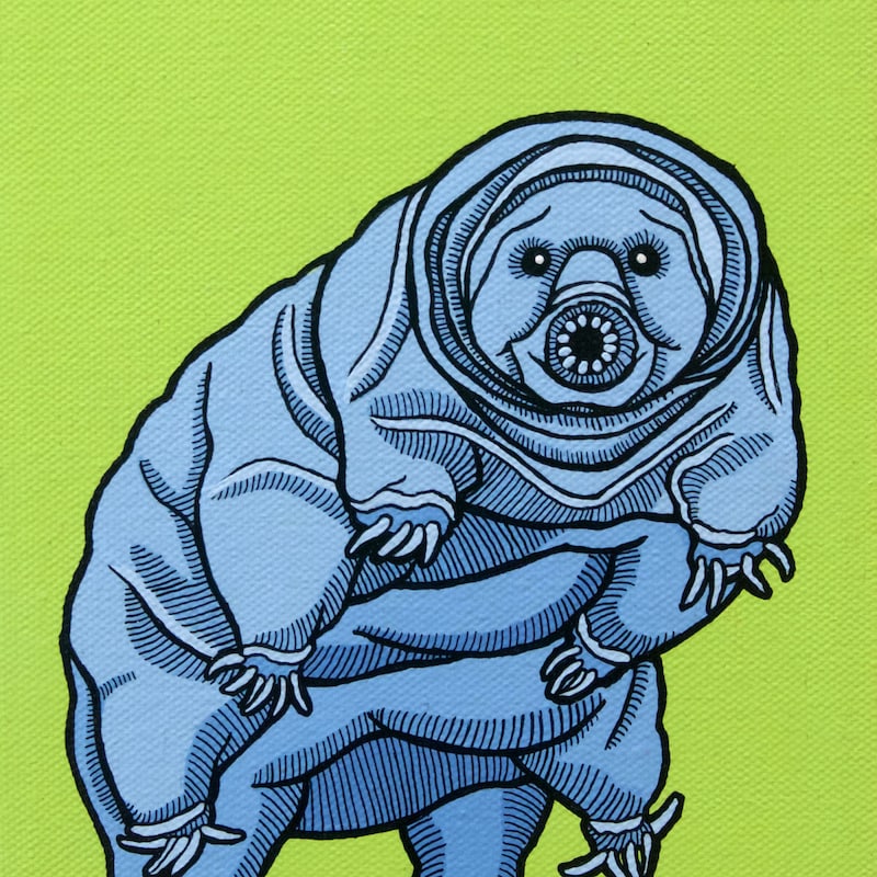 Tardigrade - Etsy