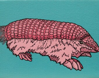 Pink Fairy Armadillo | Etsy