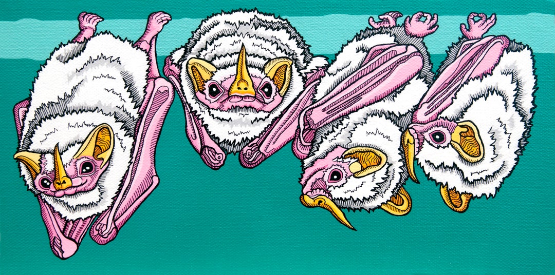 Archival Print Pop Art Honduran White Bats, Cute Bats Kid's Room Art ...