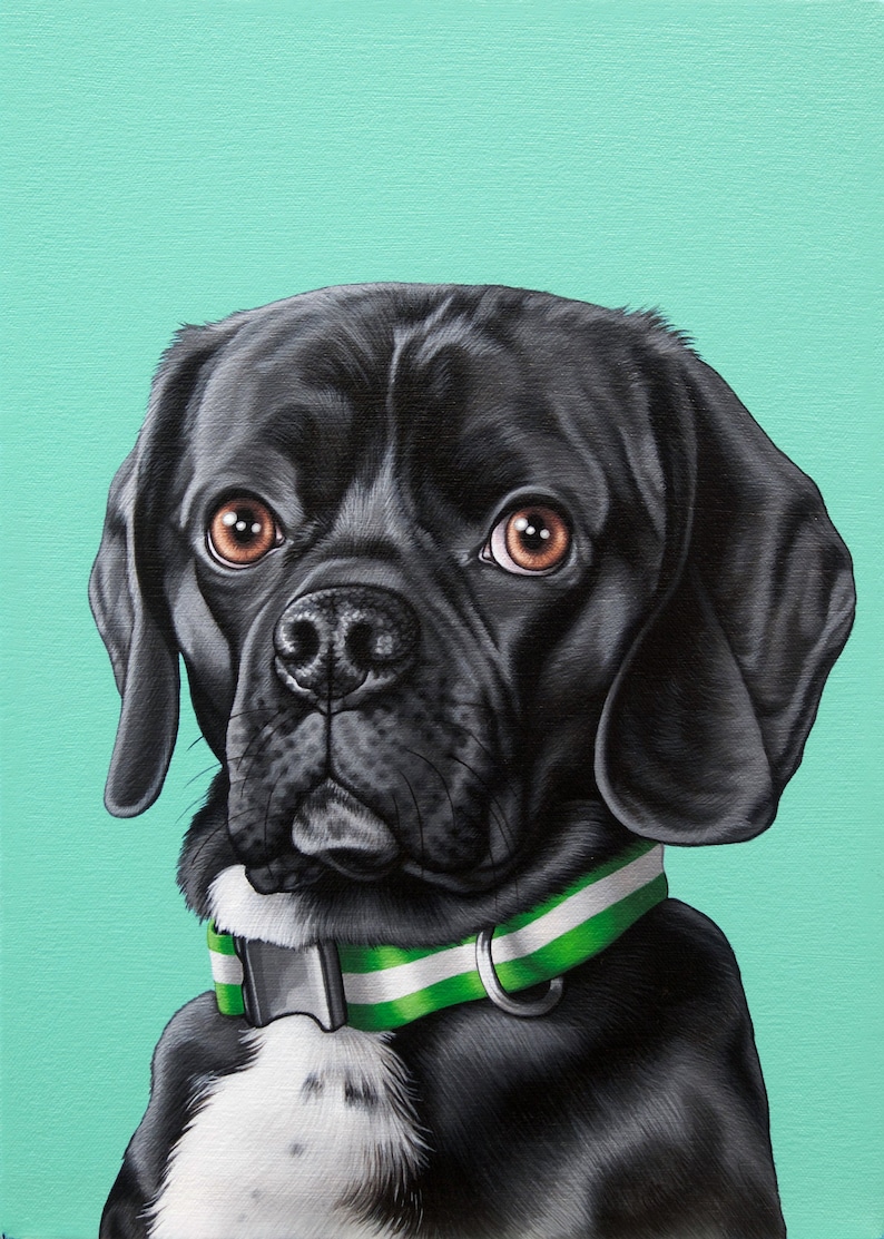 Custom Pet Portrait Pop Painting of Puggle Dog Black Puggle - Etsy
