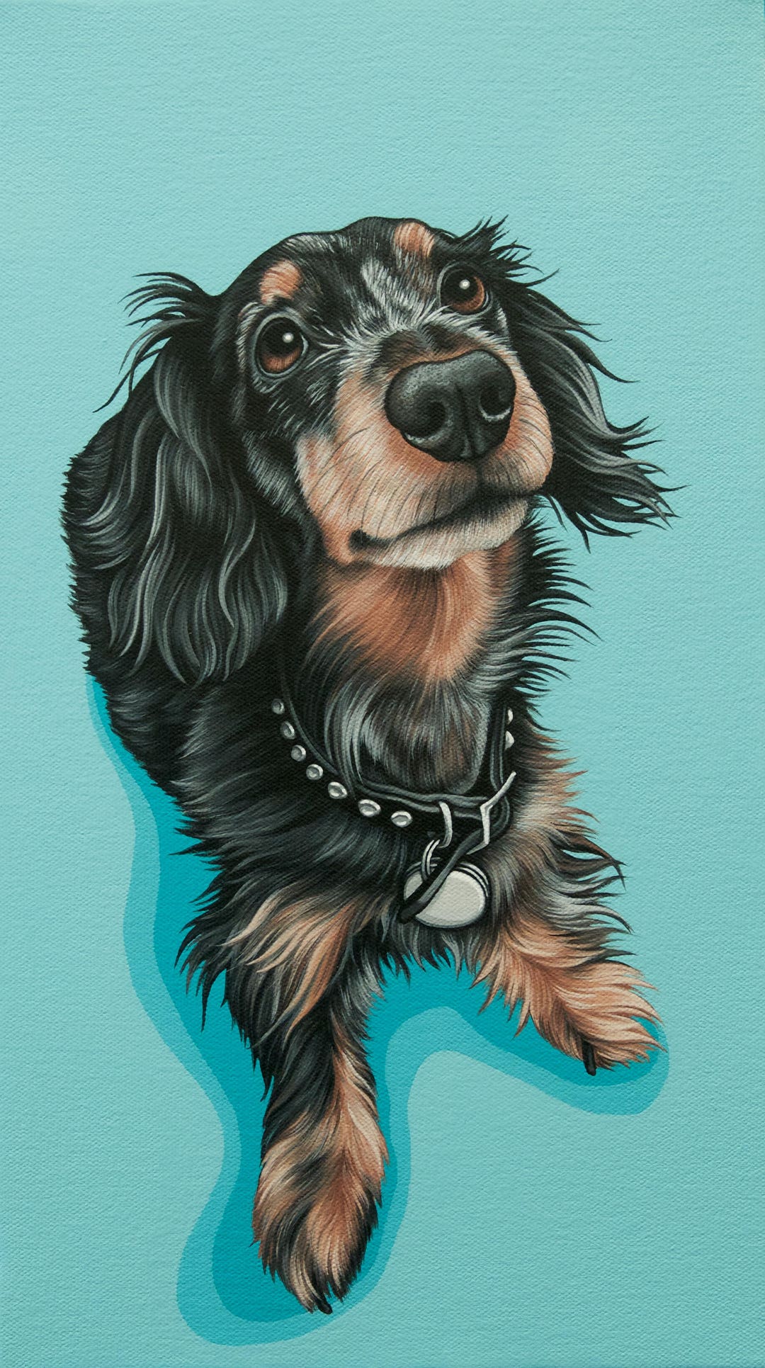 Custom Hand Painted Dog Portrait, Pop Pet Art, Long-haired Dachshund ...
