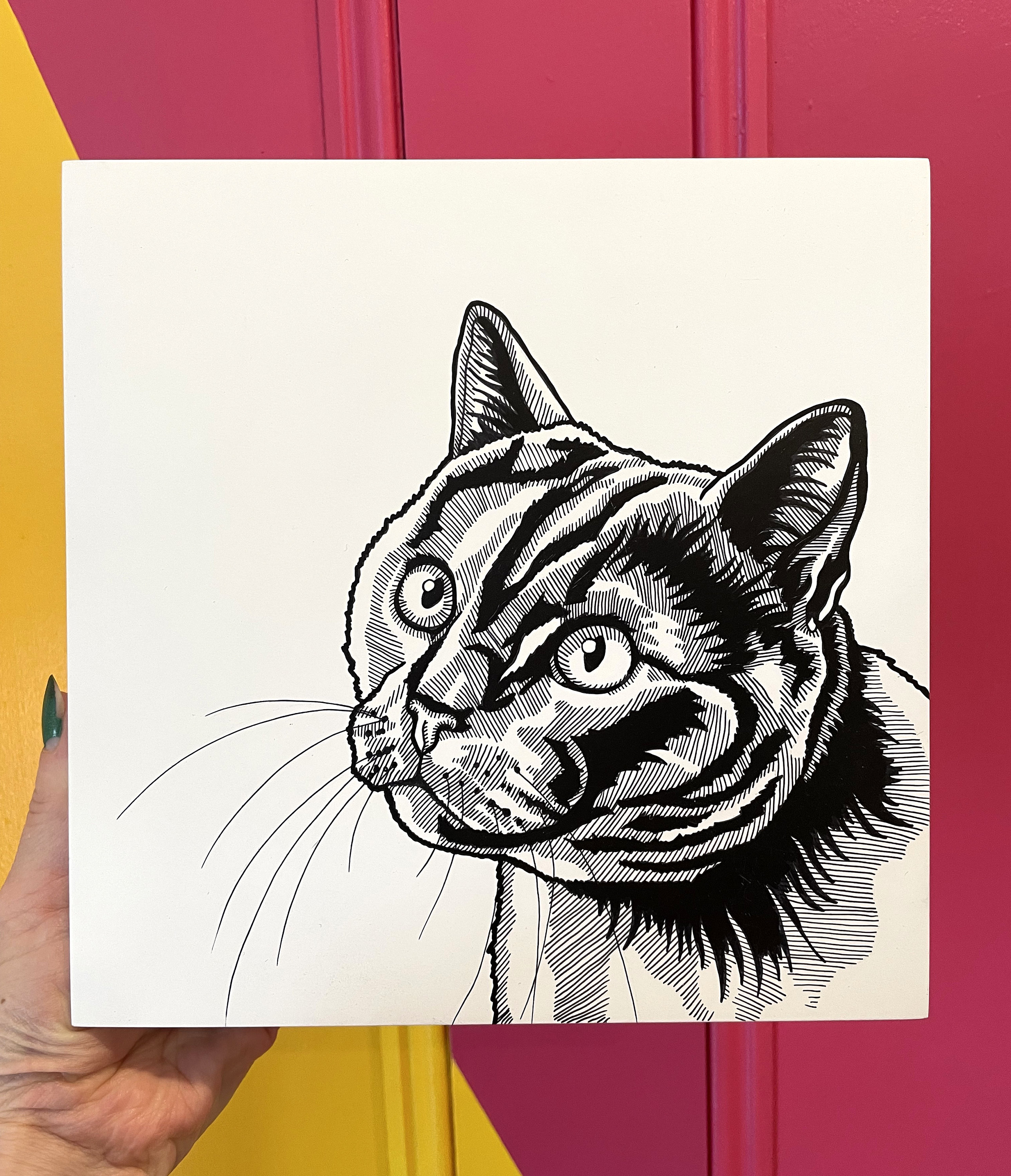 Cat Lineart Paint
