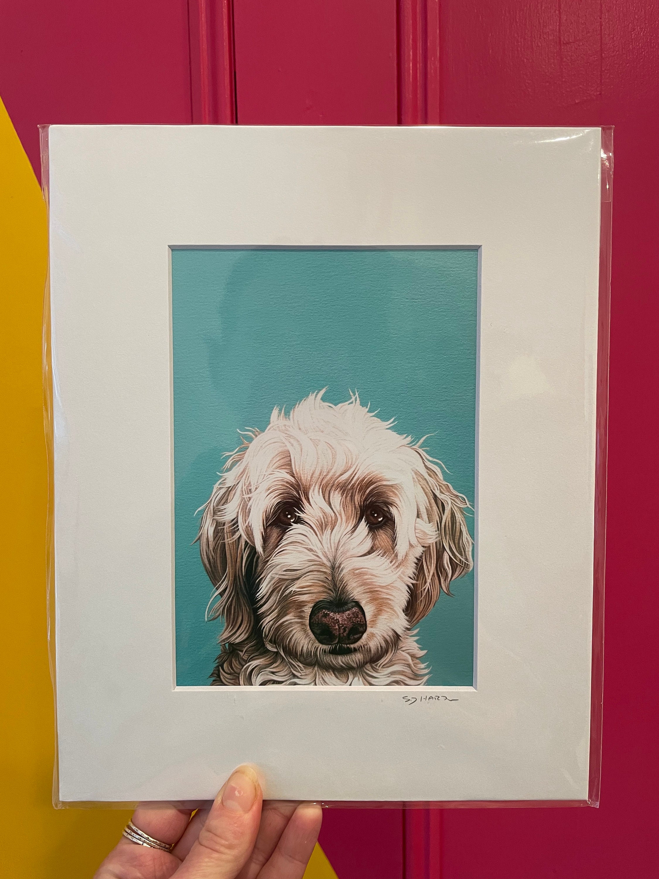 Labradoodle Archival Art Print Labradoodle Illustration I - Etsy